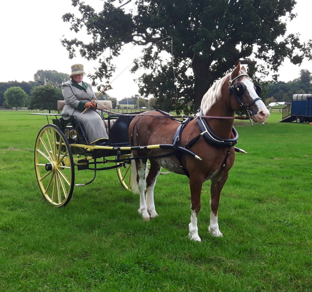 CUSTOMER NEWS: CAROLINE WATSON