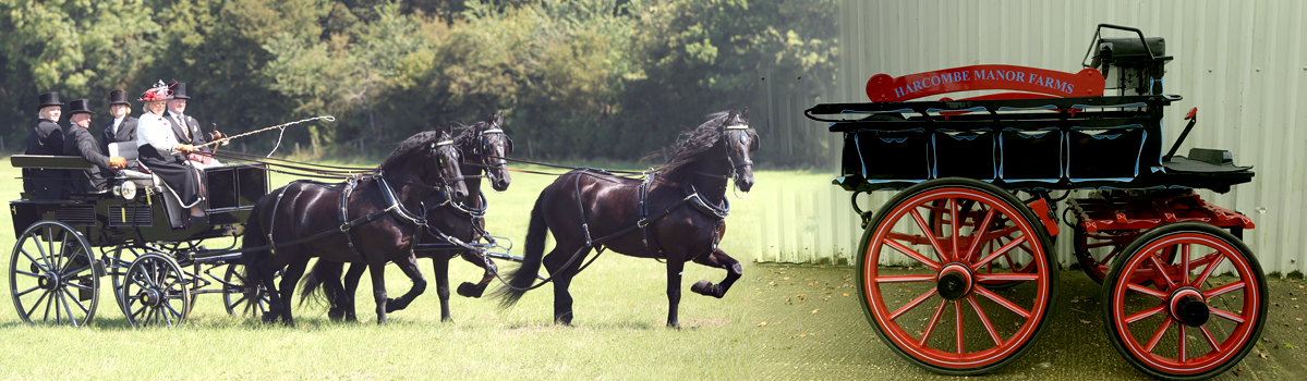 Carriages for Sale. We Manufacture & Supply Direct